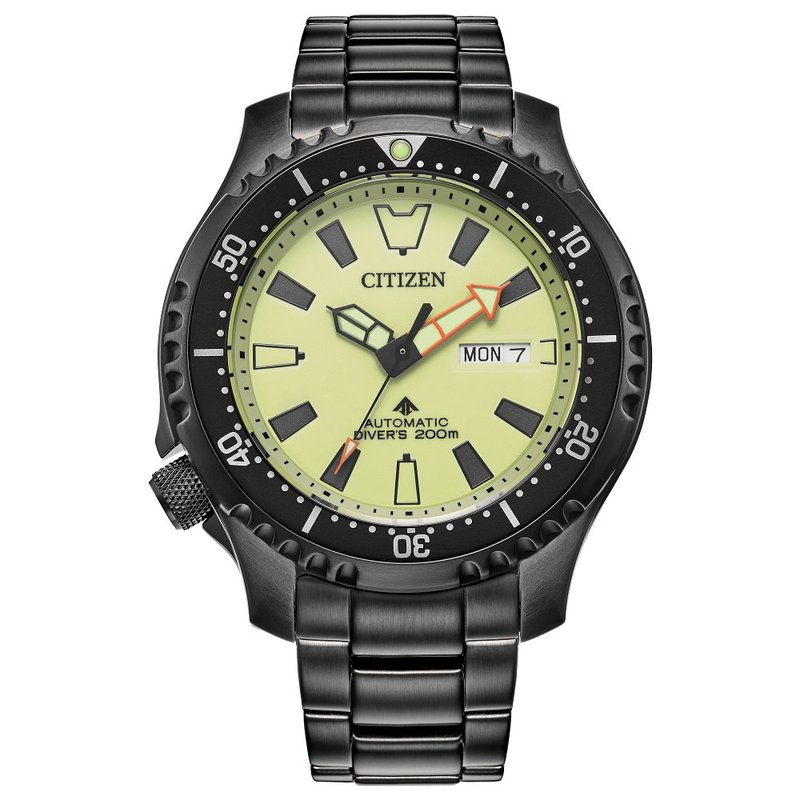 Citizen Promaster Dive Automatics Promaster Auto Dive Automatics Mens ...